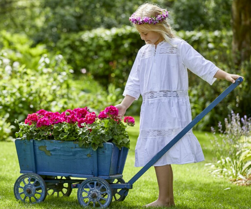 Eight beautiful upcycling projects with geraniums › My Geranium