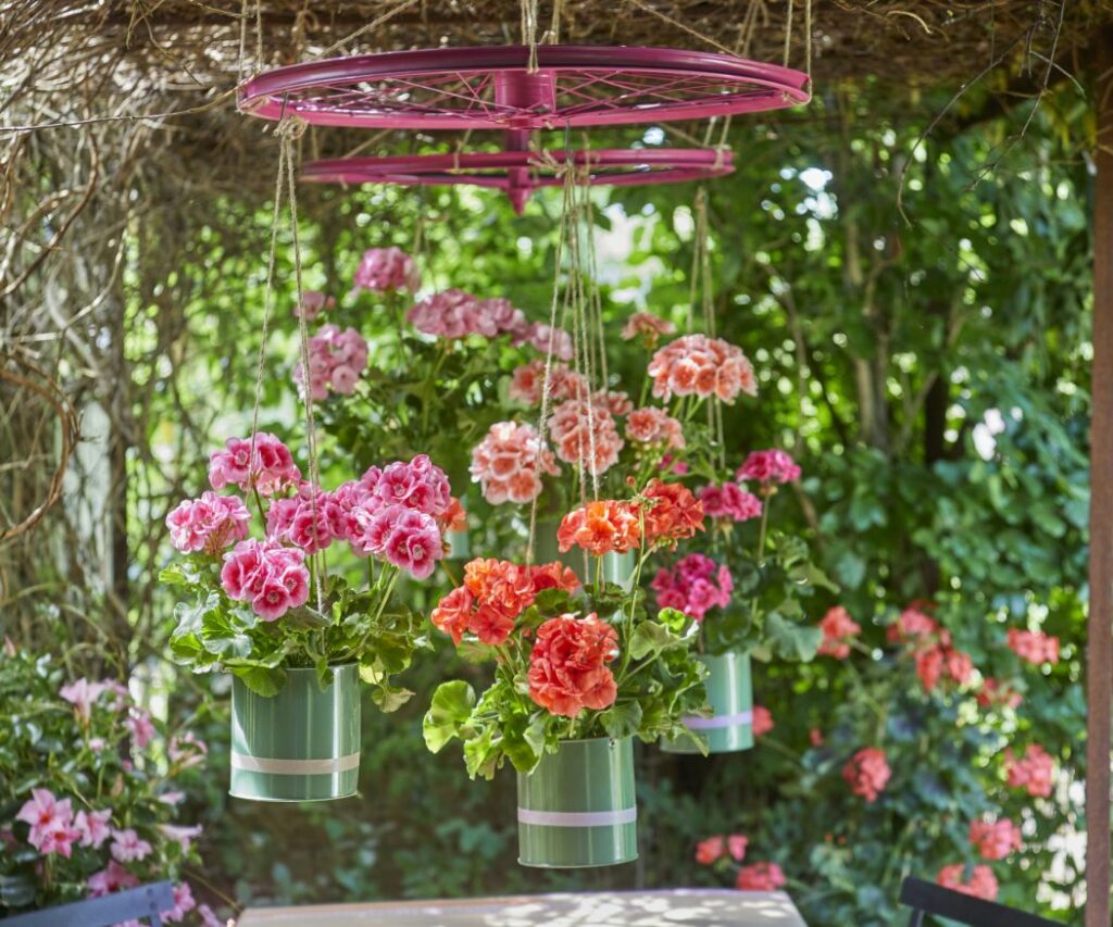 Floating flower magic: Hanging baskets and other hanging containers ...