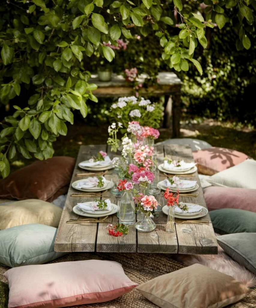 Geranium care: 7 golden rules for maximum flower power › My Geranium