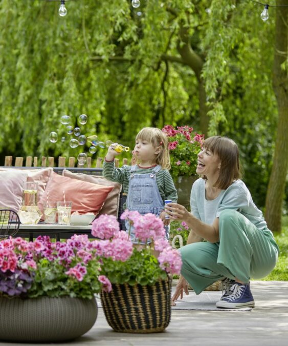 It’s possible to plant geraniums in partial shade! › My Geranium