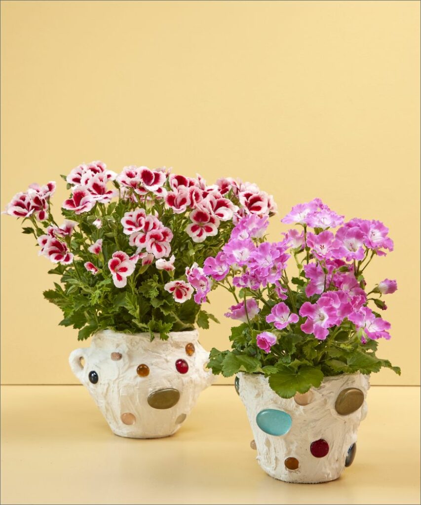 Homemade with love. Five fantastic ideas for geranium planter projects ...