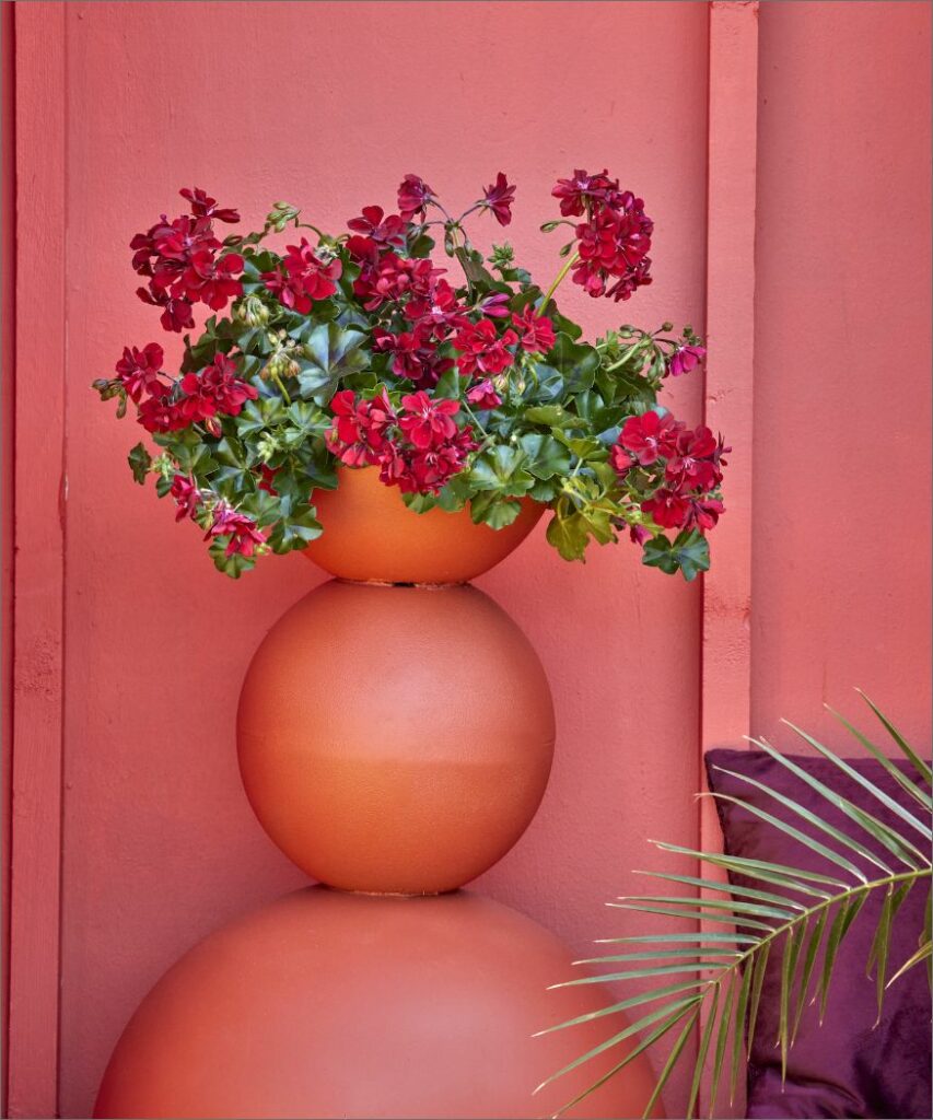 Homemade with love. Five fantastic ideas for geranium planter projects ...