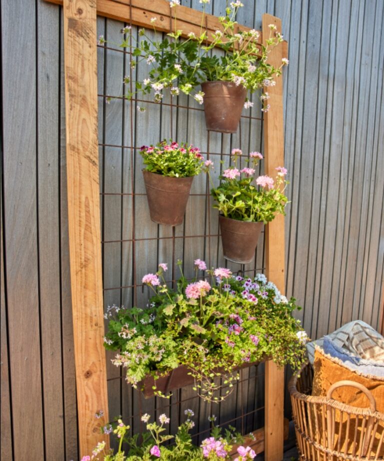 Balcony decor for 2025: Easy-care trends for the summer › My Geranium